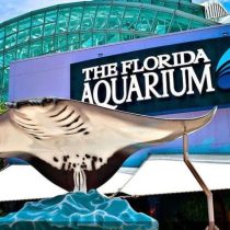 The Florida Aquarium – CFRM Villas
